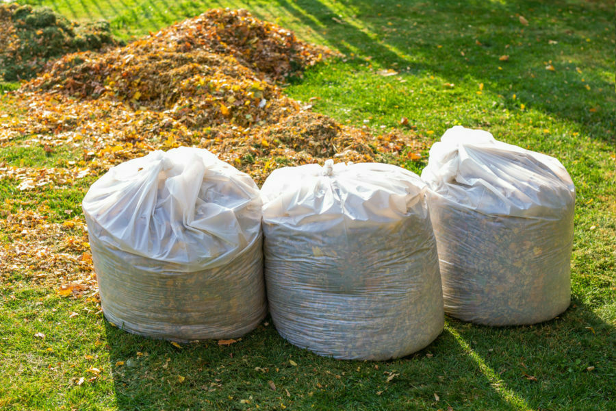 Enjoy a Clean and Tidy Yard with Affordable Yard Waste Removal